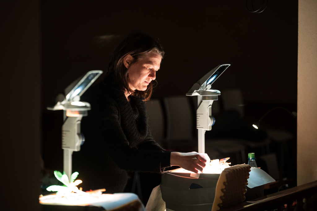 KleOPERtra | CÆSAR next level